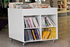 Midi and Maxi Book Browsers - BCI Libraries